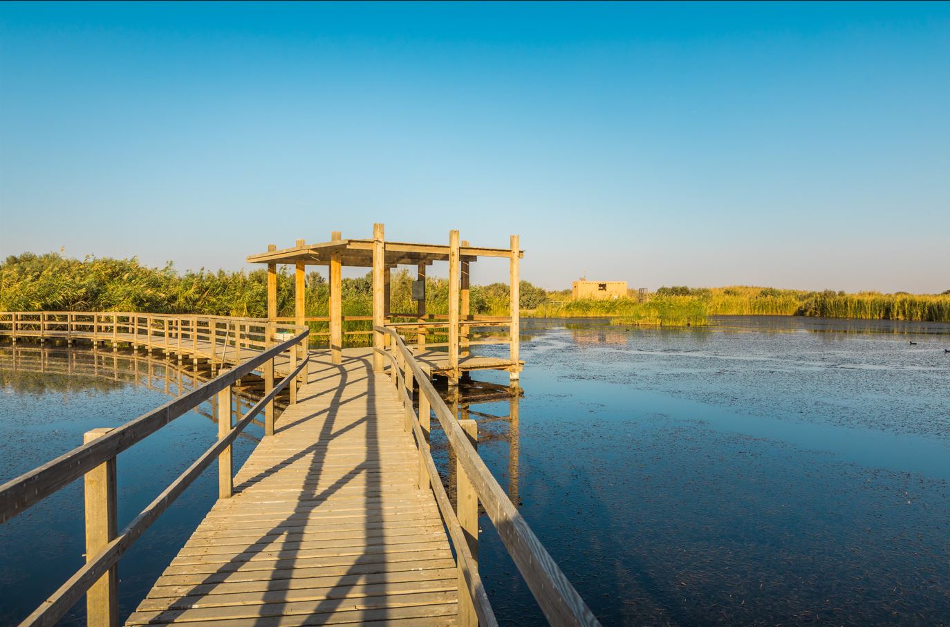 Azraq wetland reserve - Royal Jordanian